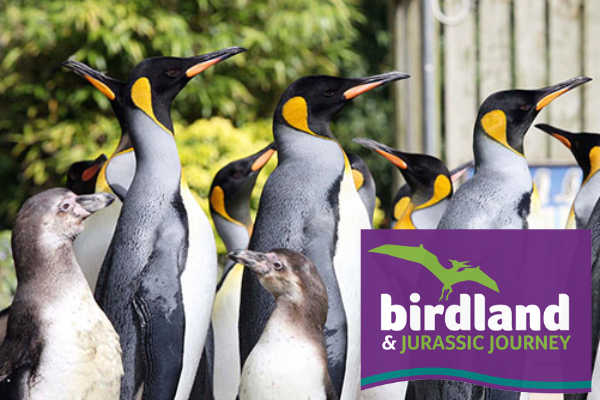 Attractions and things to do in Gloucestershire